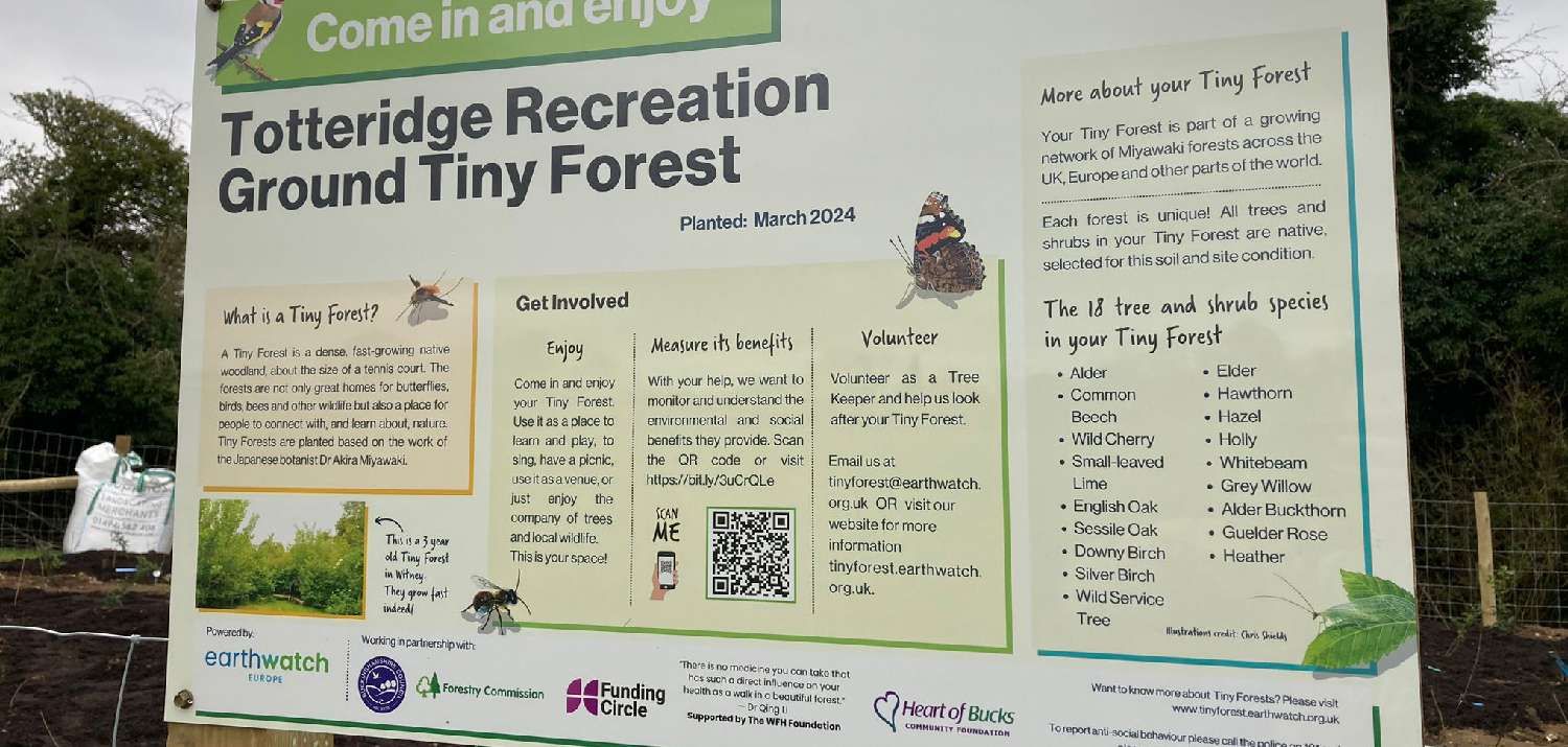 Totteridge Recreation Ground